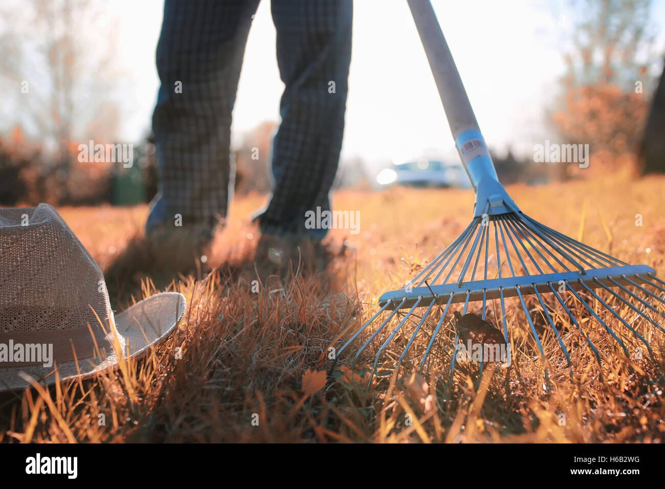 man with rakes in autumn old grass Stock Photo - Alamy