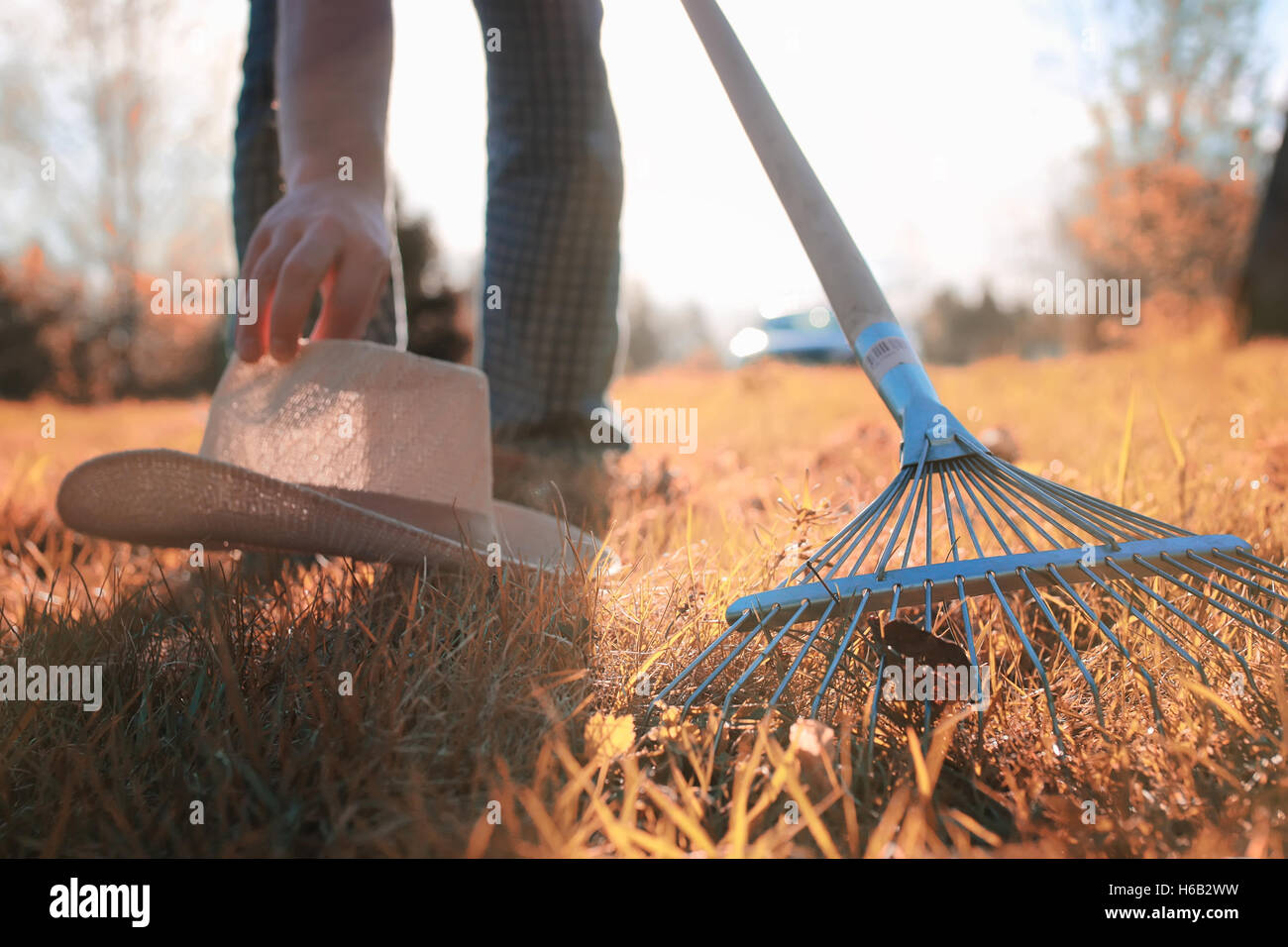 man with rakes in autumn old grass Stock Photo - Alamy