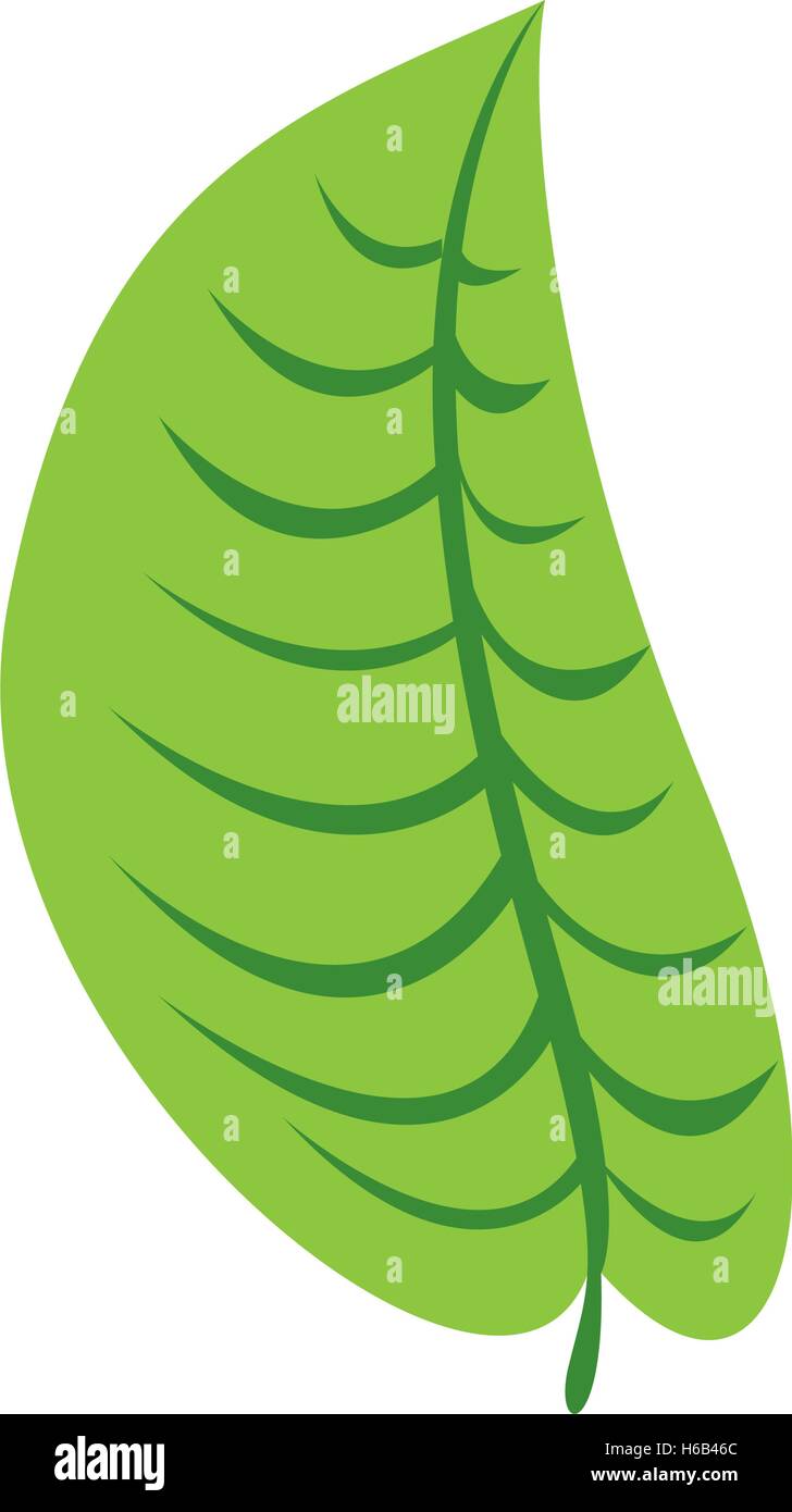 simple leaf icon image Stock Vector Image & Art - Alamy
