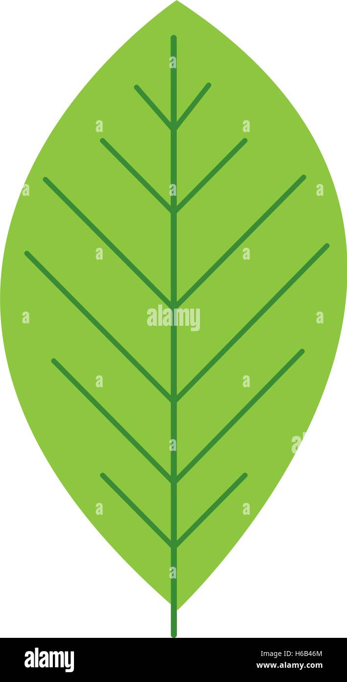 simple leaf icon image Stock Vector Image & Art - Alamy