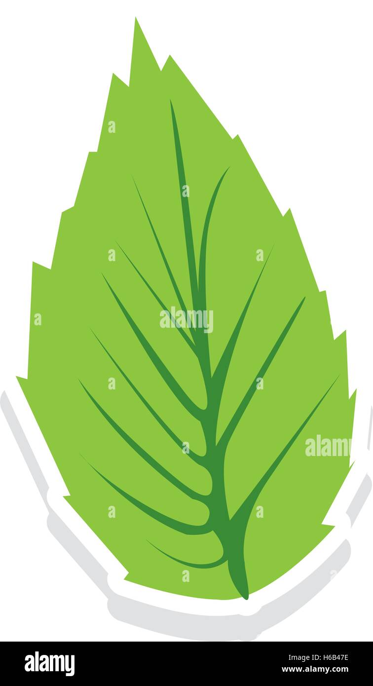 simple leaf icon image Stock Vector Image & Art - Alamy