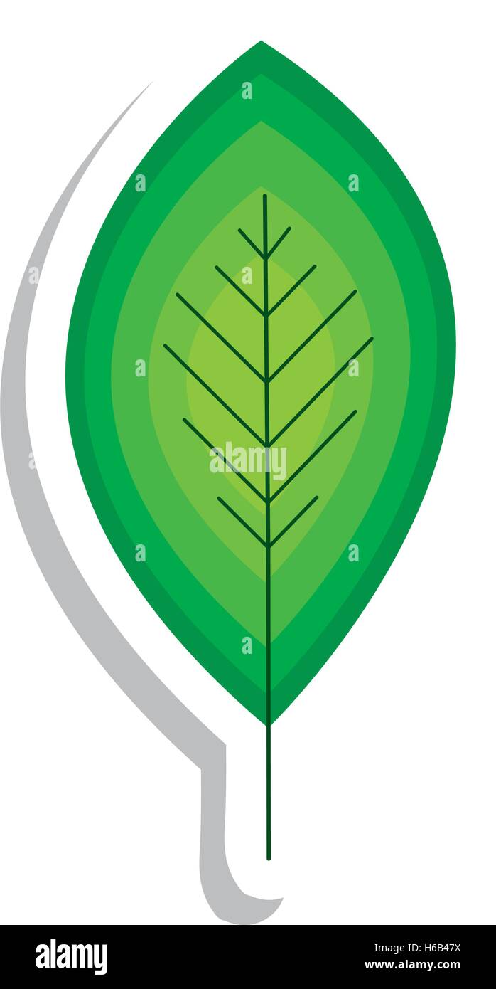 simple leaf icon image Stock Vector Image & Art - Alamy