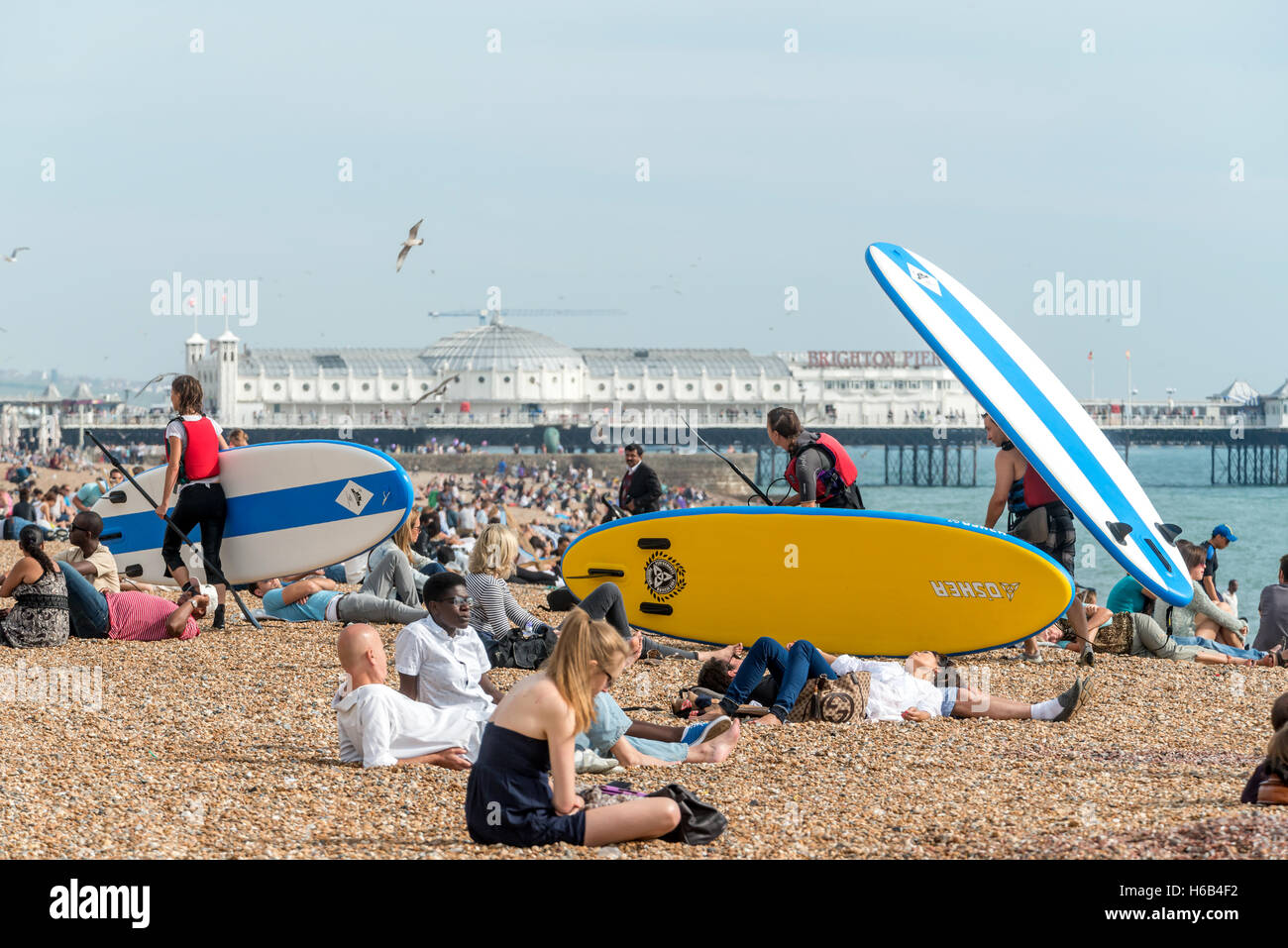 Surfers and sunbathers on Brighton beach Stock Photo - Alamy