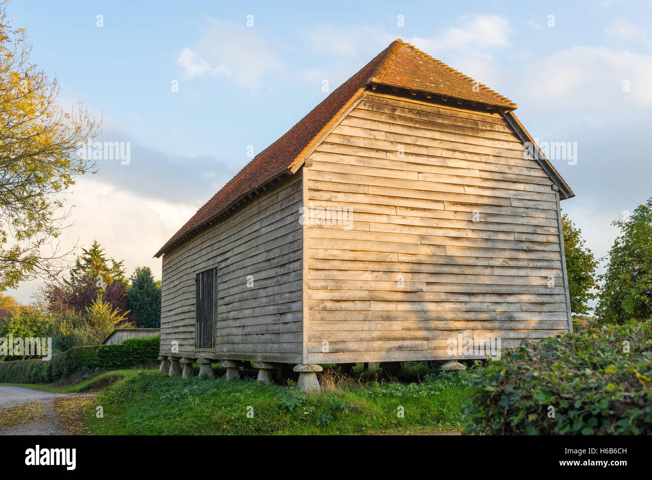 Mushroom shaped staddle stone supporting a converted grain store in ...