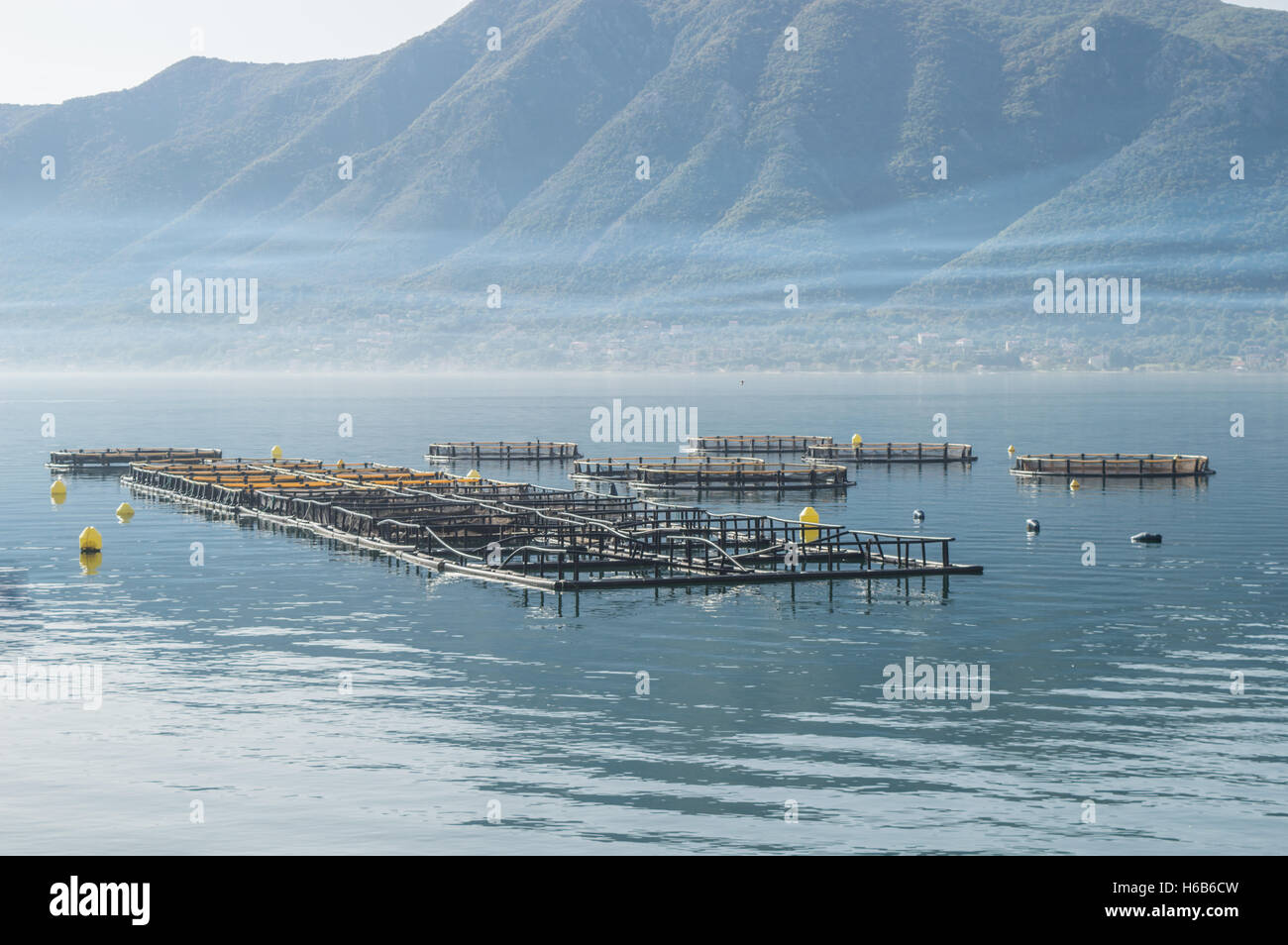 Big Cages for fish farming in Montenegro Stock Photo - Alamy