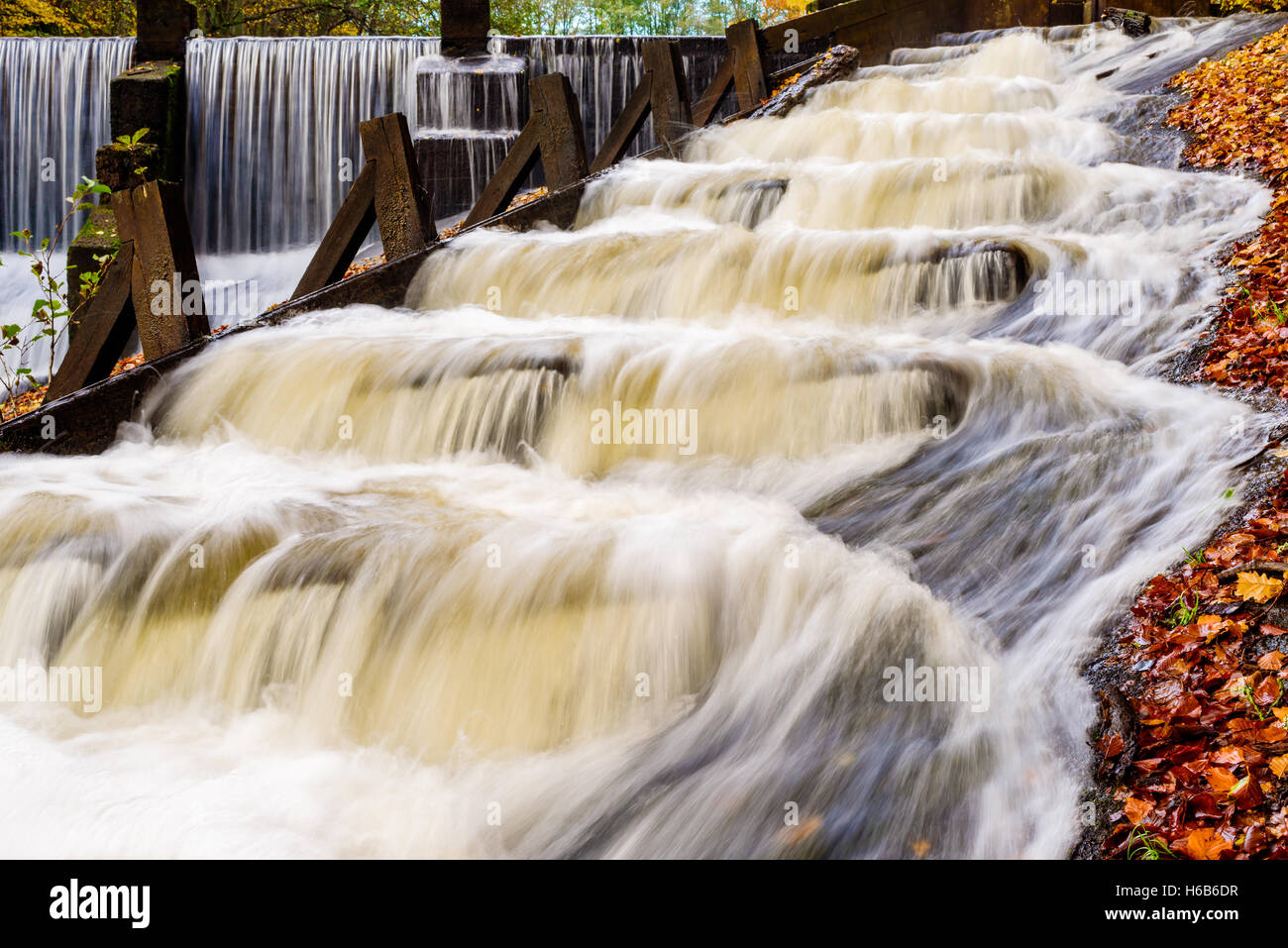 Salmon fish ladder hi-res stock photography and images - Alamy