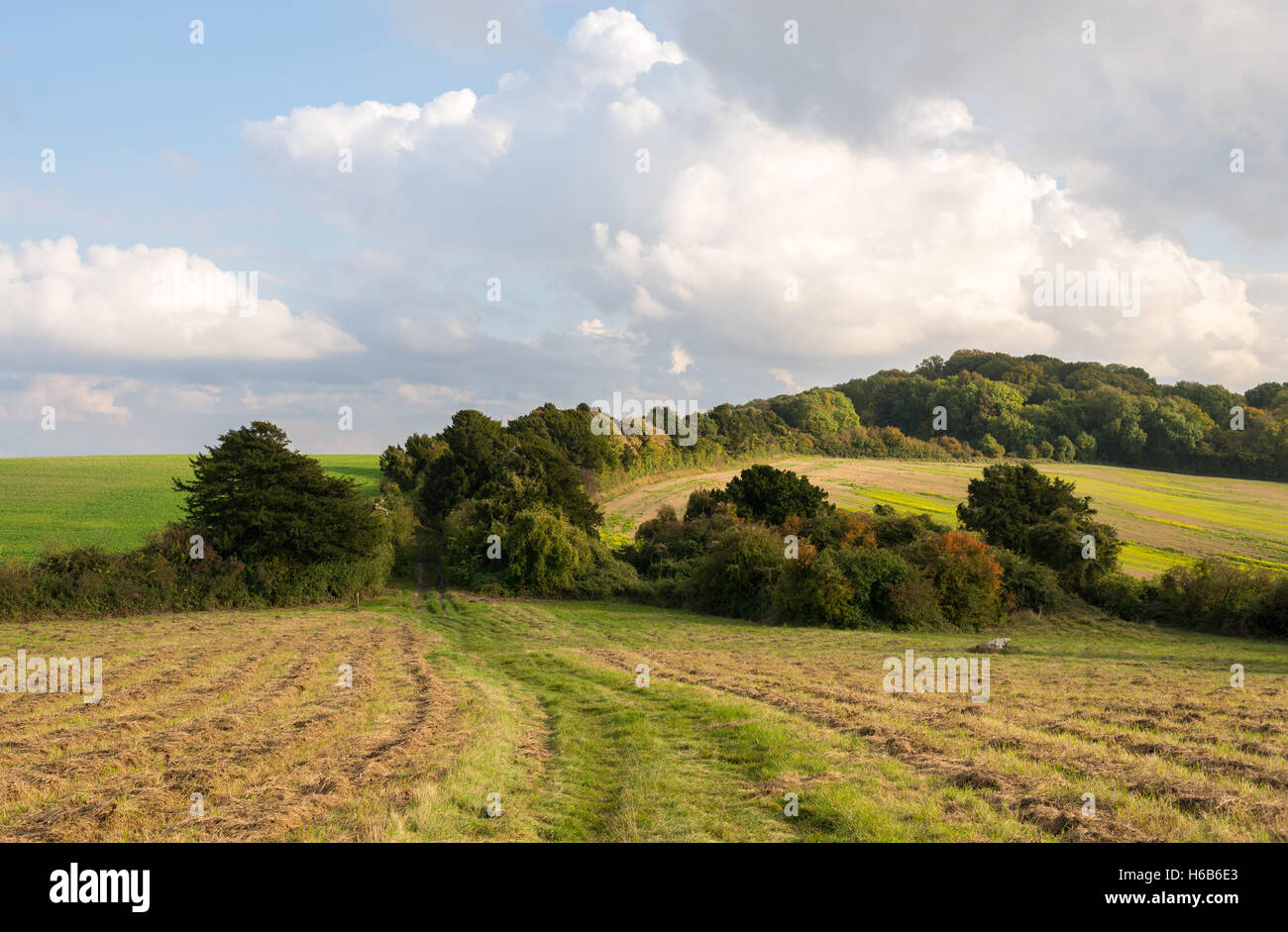 Countryside open fields hi-res stock photography and images - Alamy