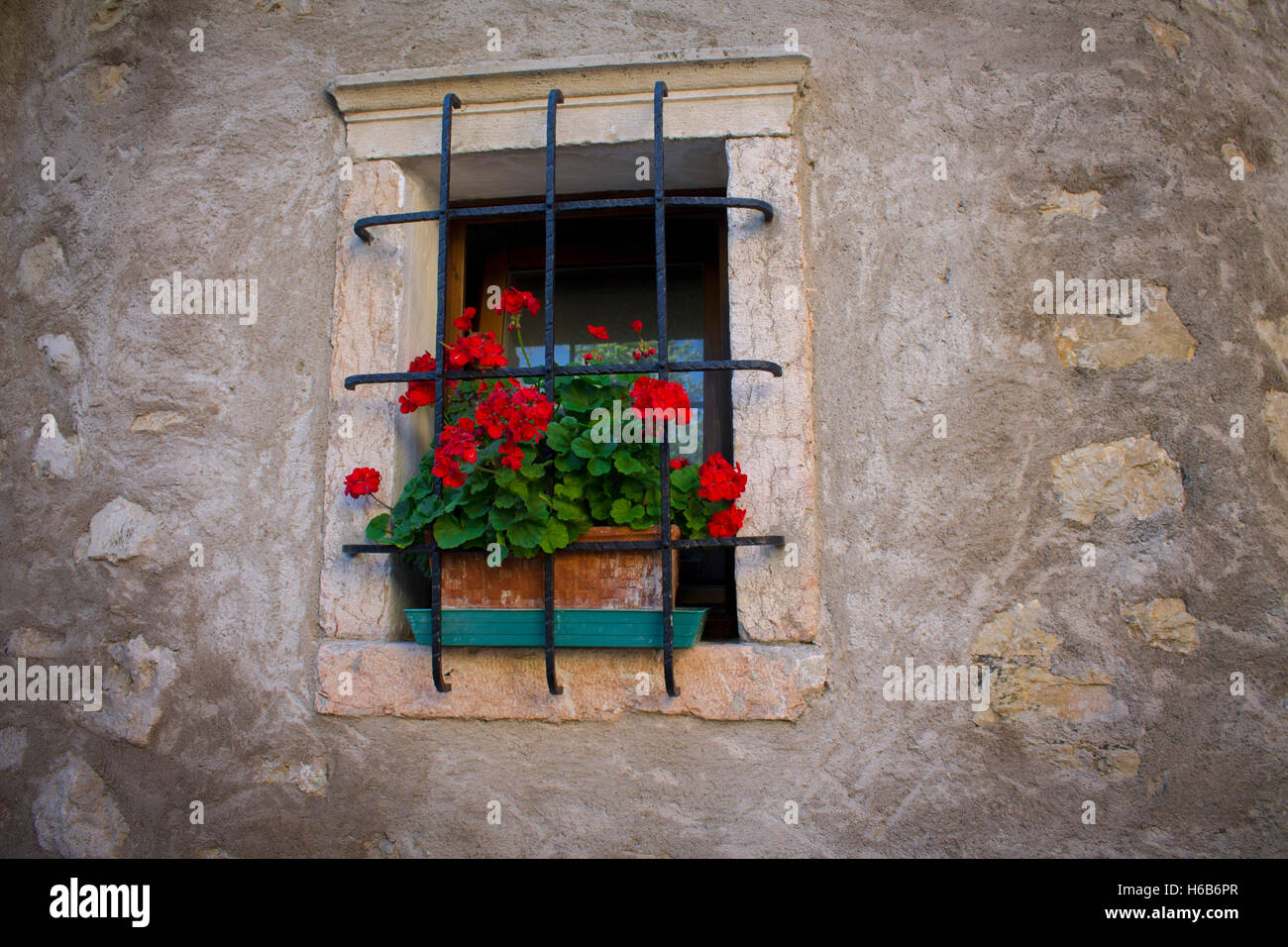 Red geranium hi-res stock photography and images - Alamy