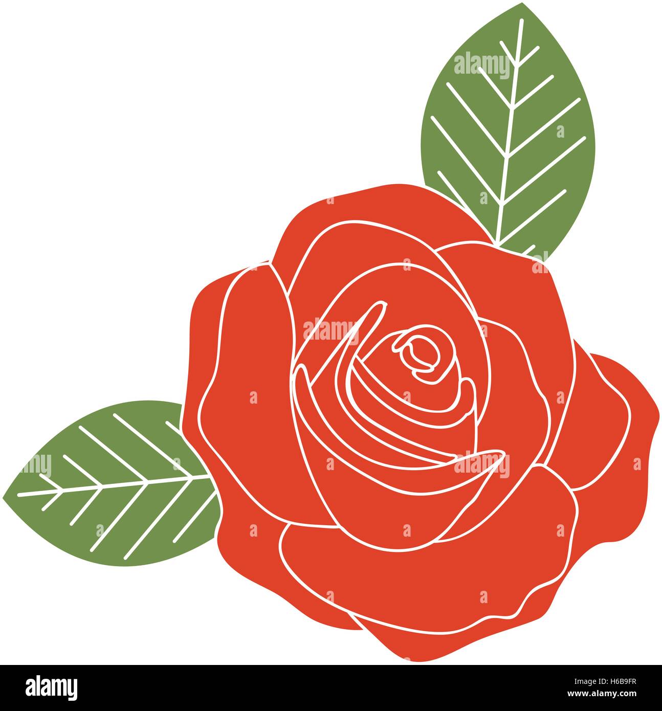rose line drawing image Stock Vector Image & Art - Alamy