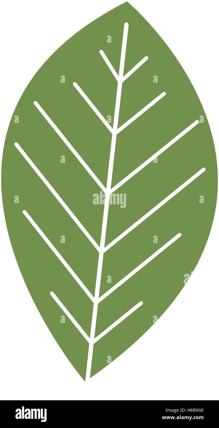 simple leaf icon image Stock Vector Image & Art - Alamy