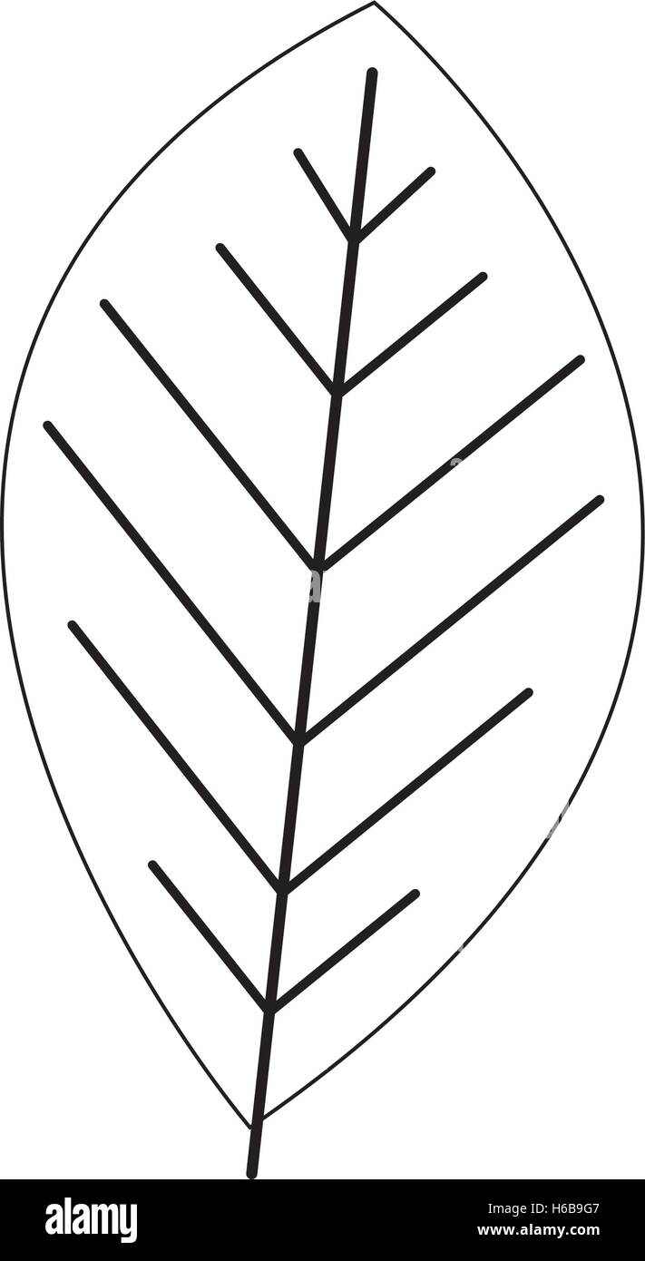 simple leaf icon image Stock Vector Image & Art - Alamy