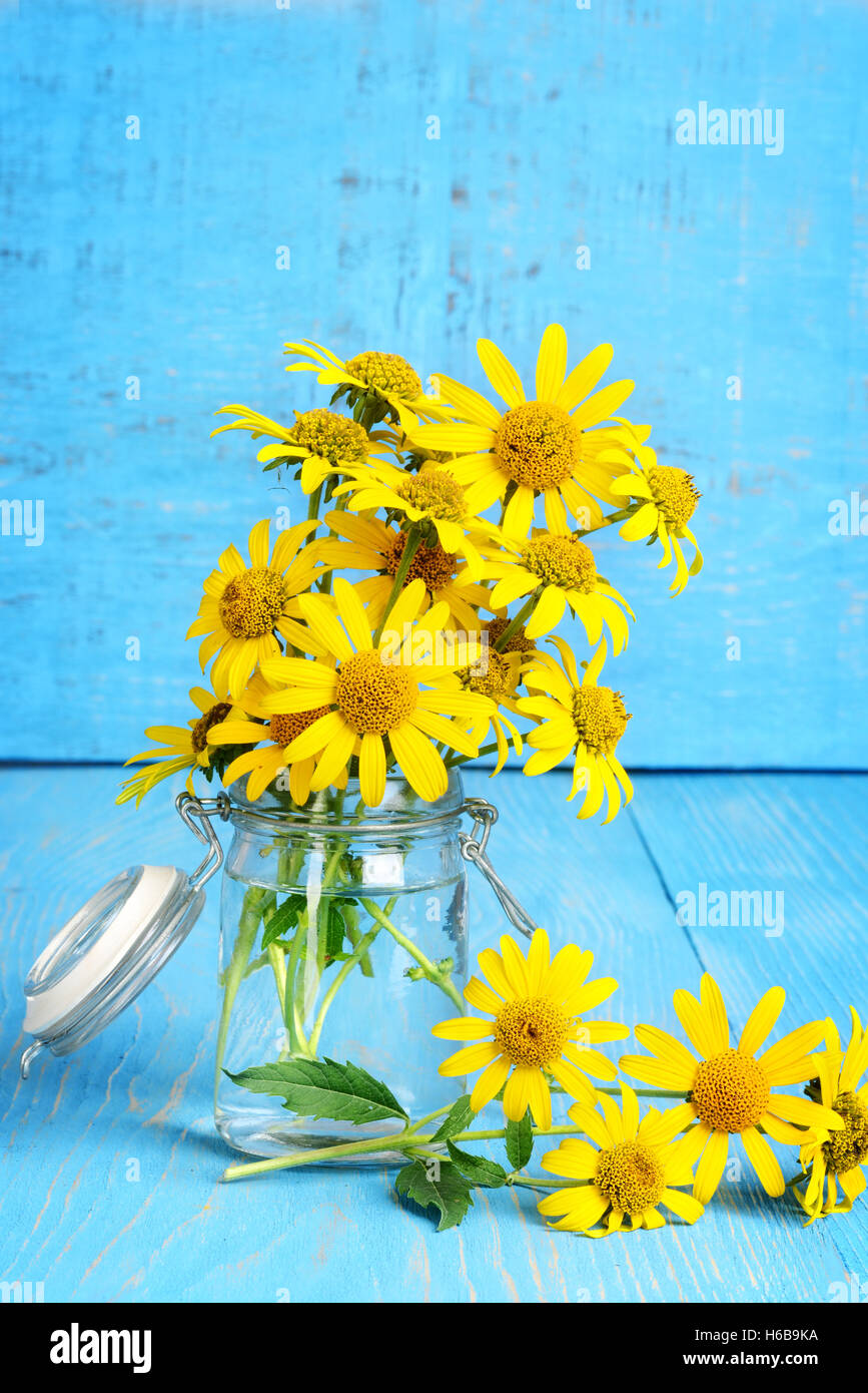fresh cut daisies in a jar Stock Photo - Alamy