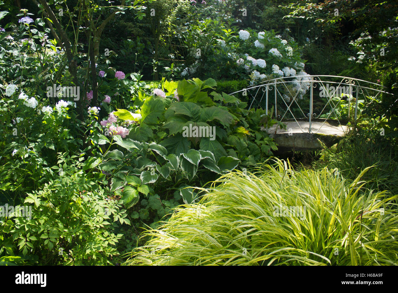 Little bridge in a garden surronding by Hostas, Hakonechloea, Phlox ...