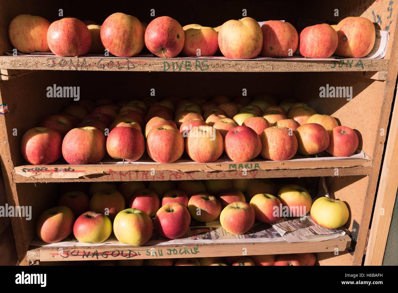 Crop variety apples, stored in a fruit stand Stock Photo - Alamy
