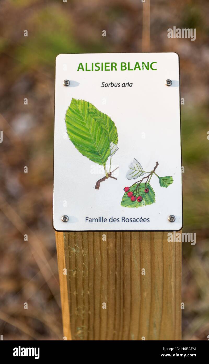 Tree signage hi-res stock photography and images - Alamy
