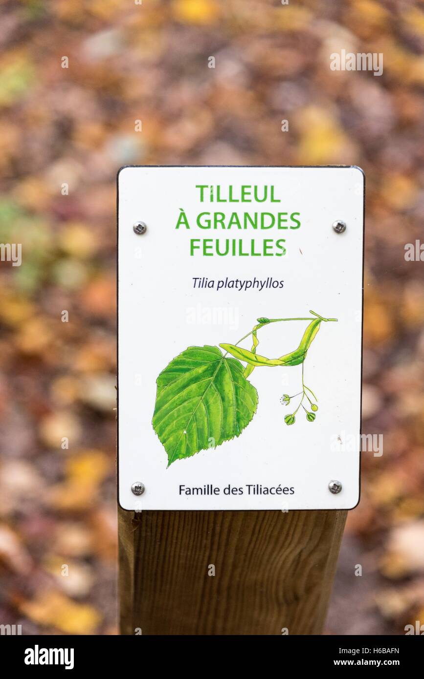 Tree signage hi-res stock photography and images - Alamy