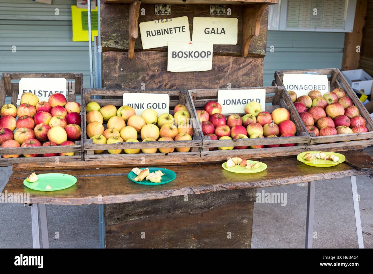 Apple tasting Stall in an orchard Stock Photo - Alamy