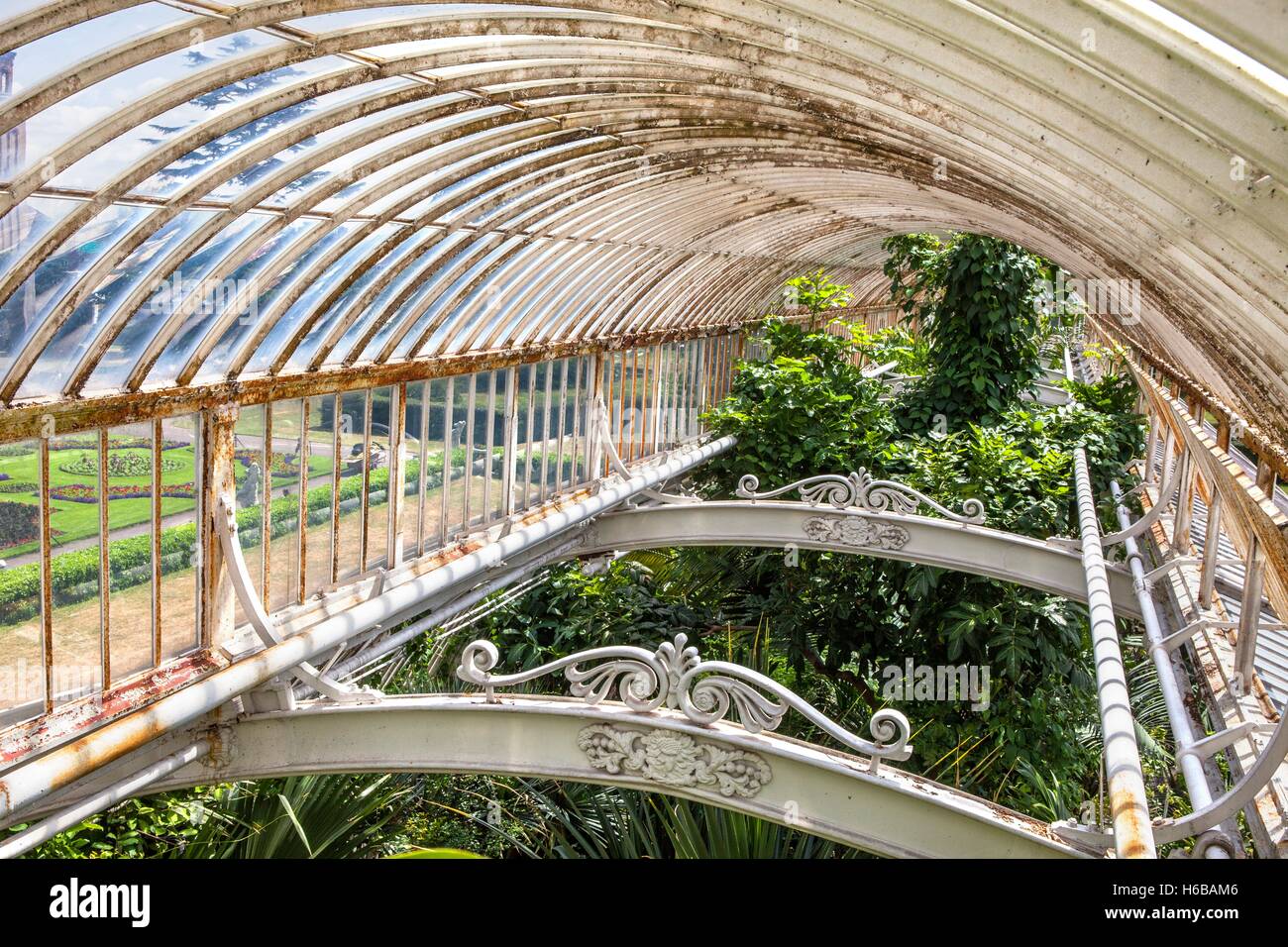 Kew Gardens. Palm House, Large greenhouse, interior view, tropical ...