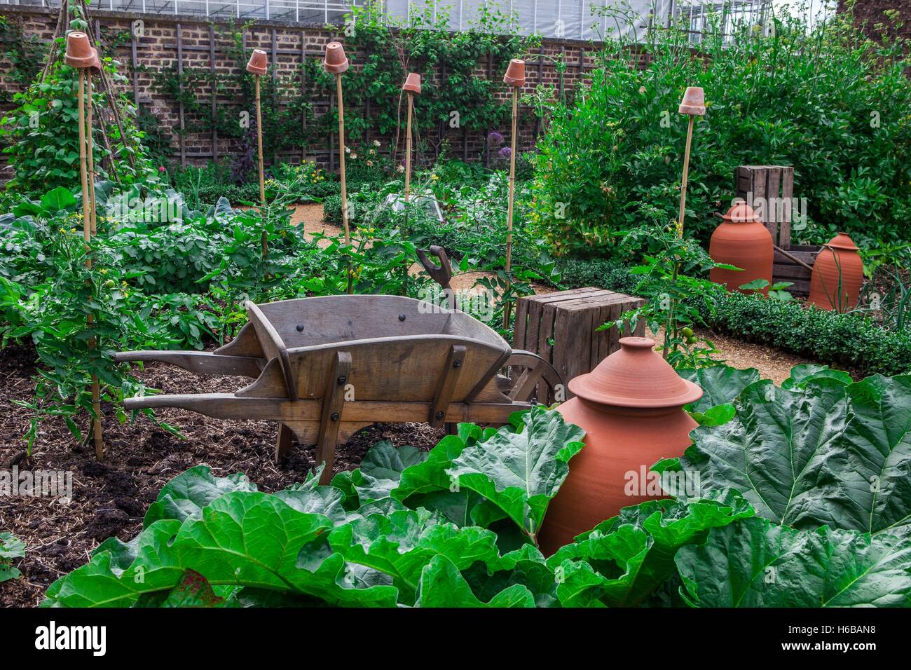 Kew Gardens. Rhubarb pots bleach rhubarb and wooden wheelbarrow Stock ...