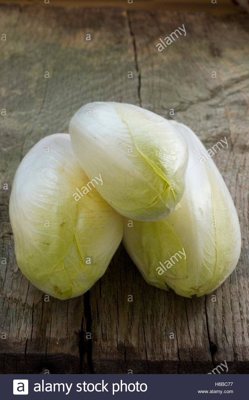 Endive Chicory Cichorium Endivia Stock Photos & Endive Chicory ...