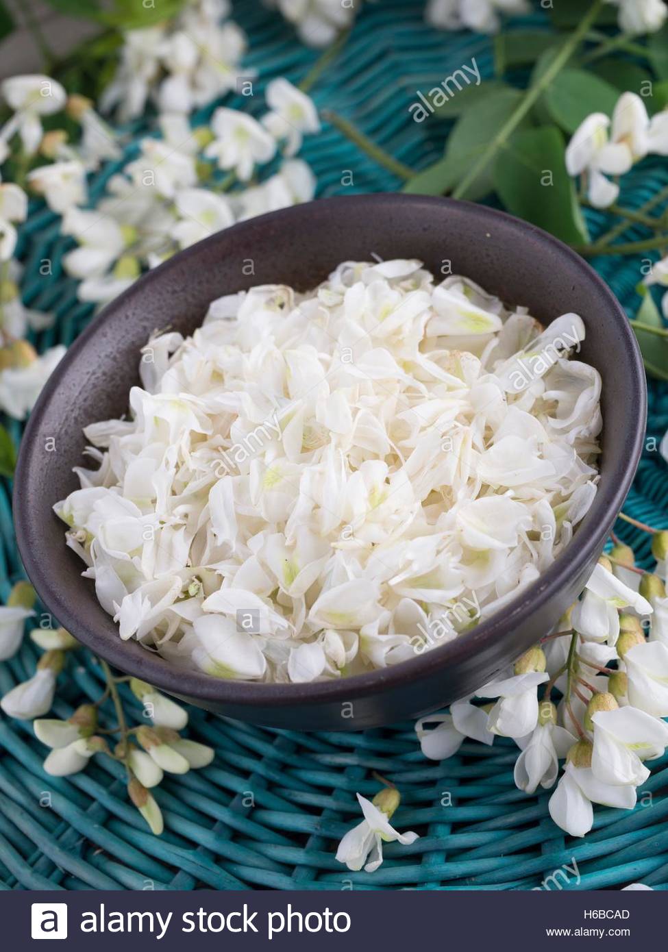 Black Locust Tree Stock Photos & Black Locust Tree Stock Images - Alamy