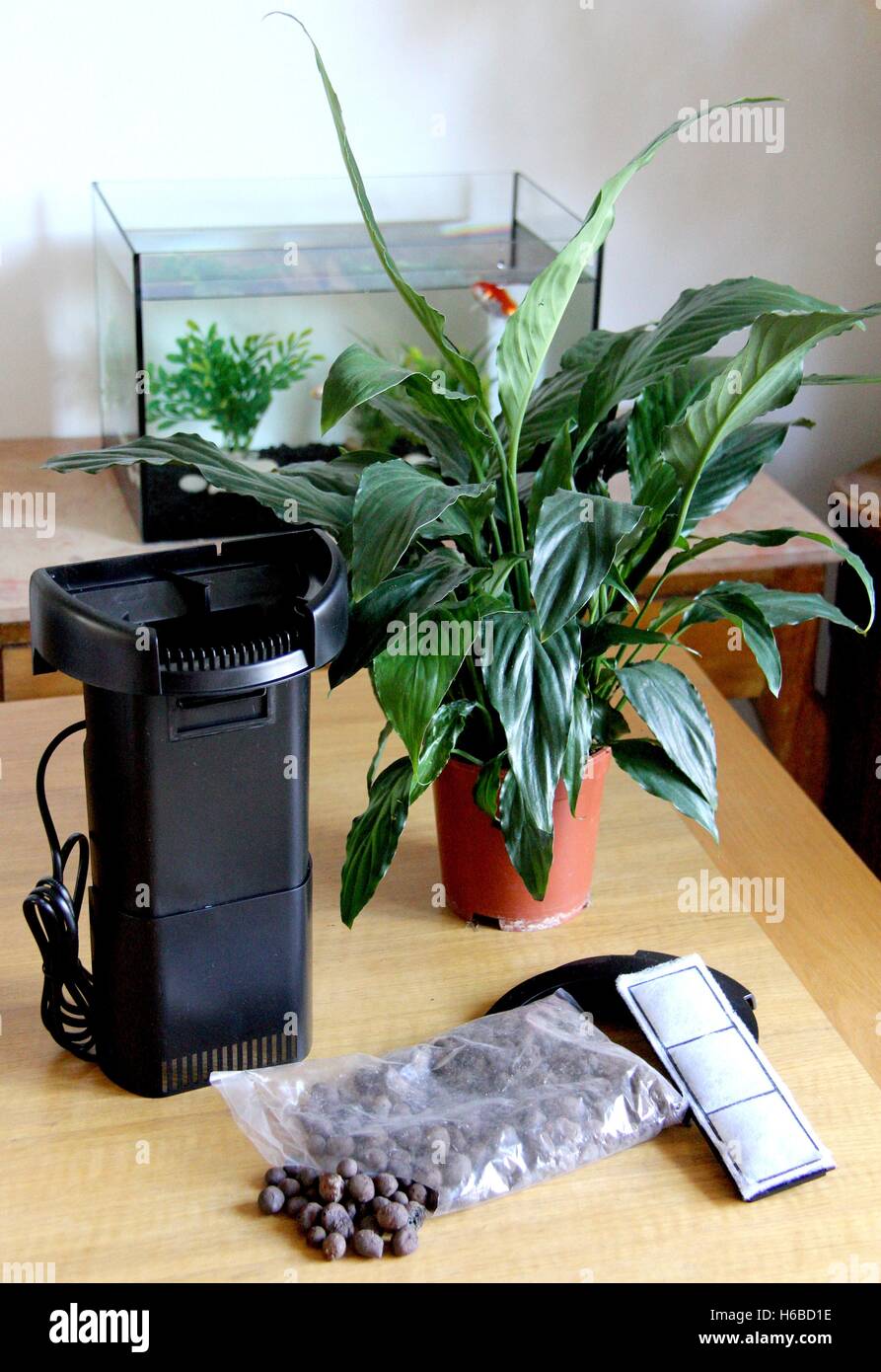 Step by step of a natural filter for water of an aquarium: 1/ Kit's ...