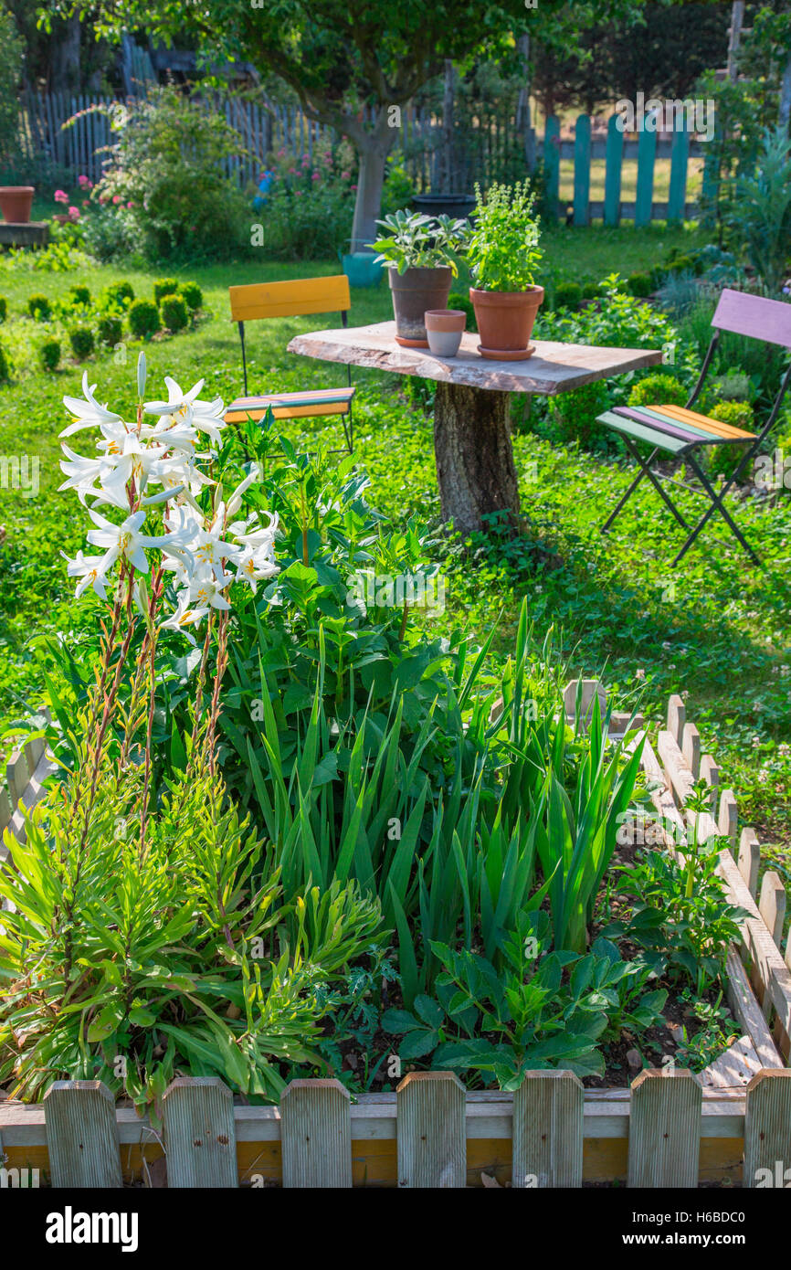 Lilies, gladioli, dahlias and aromatic plants in pots, Vegetable Garden ...