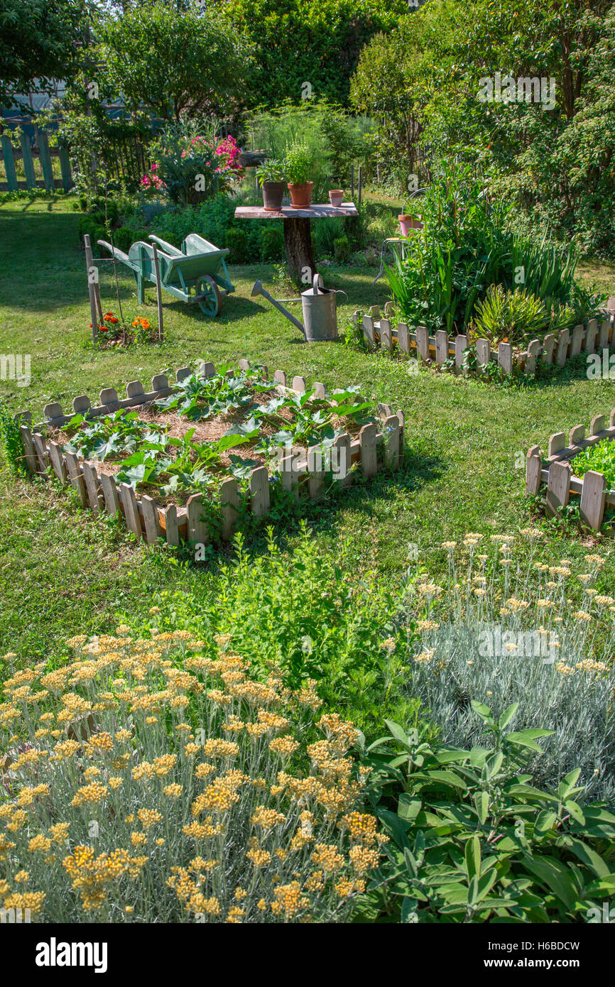 Vegetable garden square, wheelbarrow, small table and aromatic plants ...