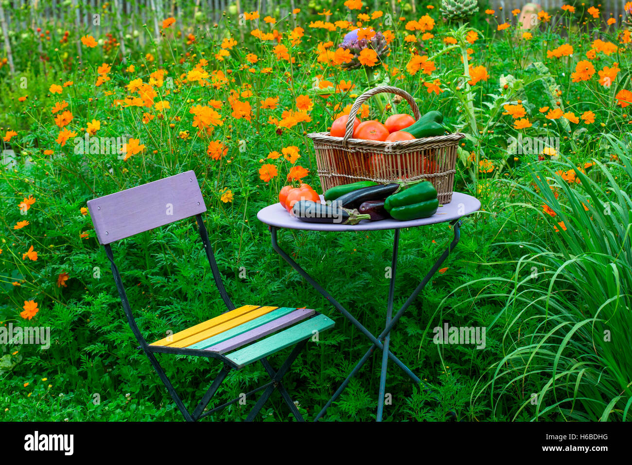 Summer harvest of fruits and vegetables on a small garden table ...