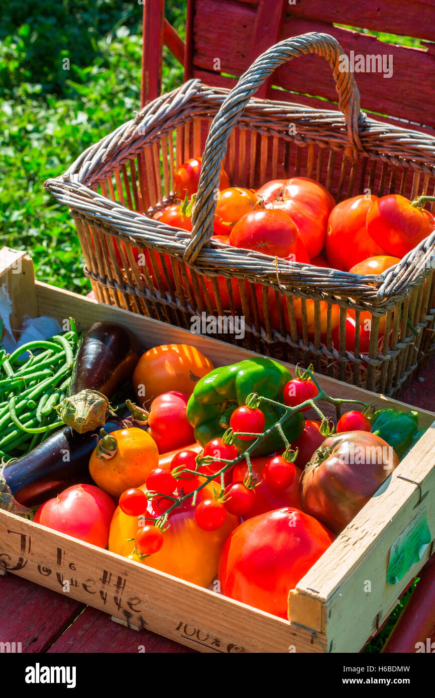 Summer vegetable harvest, Provence, France Stock Photo - Alamy