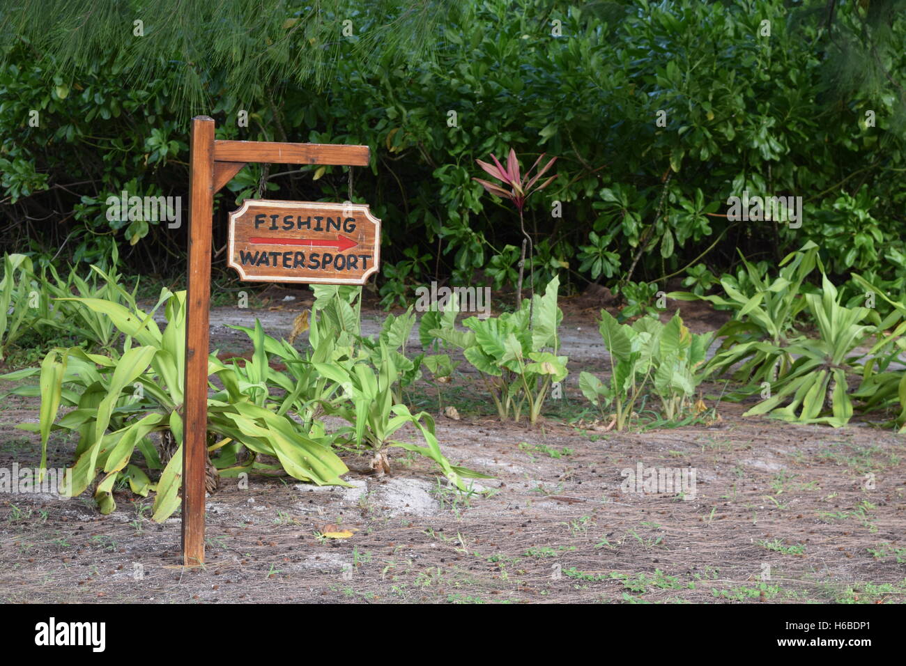 Alphonse Island Seychelles Stock Photo - Alamy