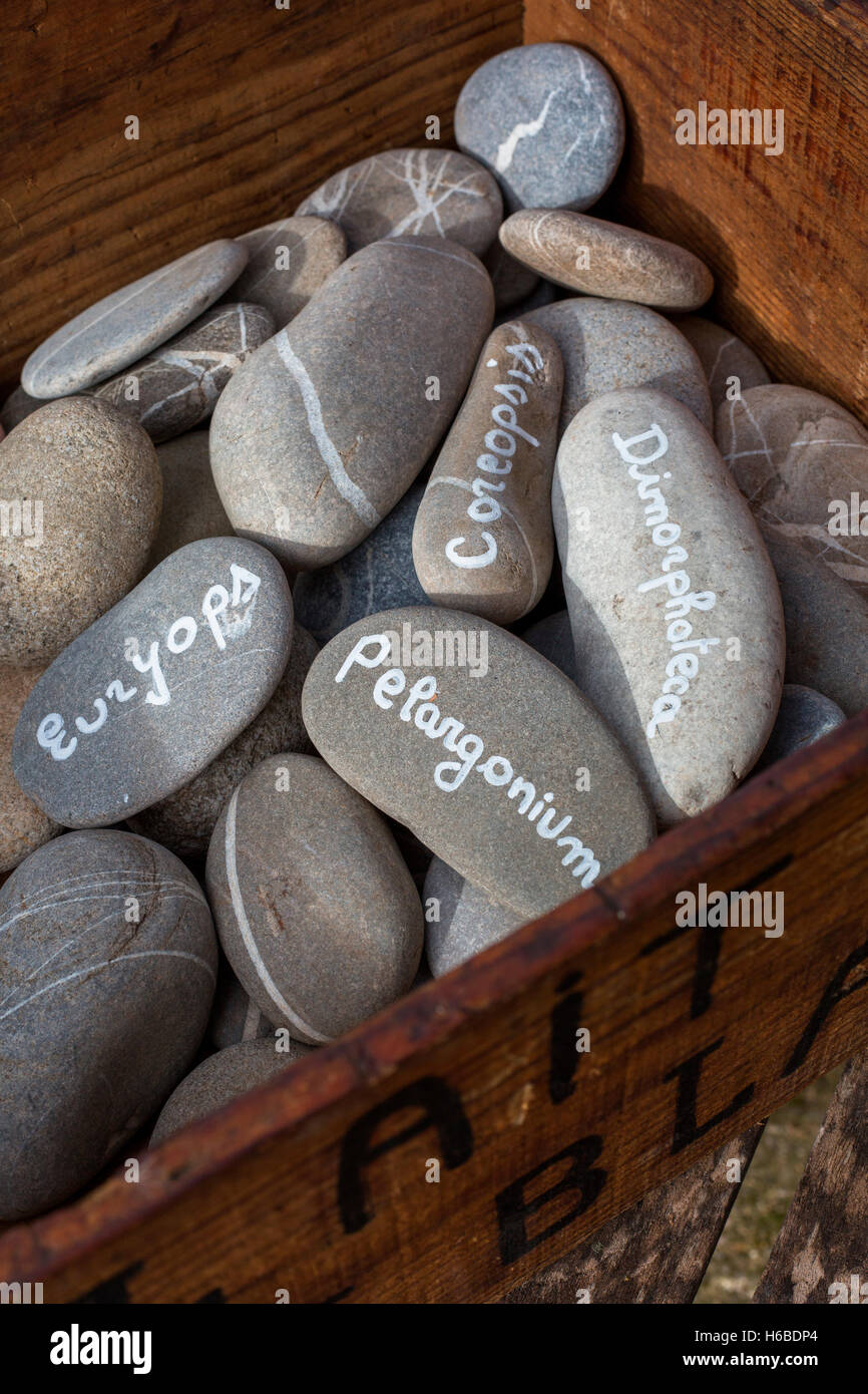 Flower names written on pebbles, Provence, France Stock Photo - Alamy