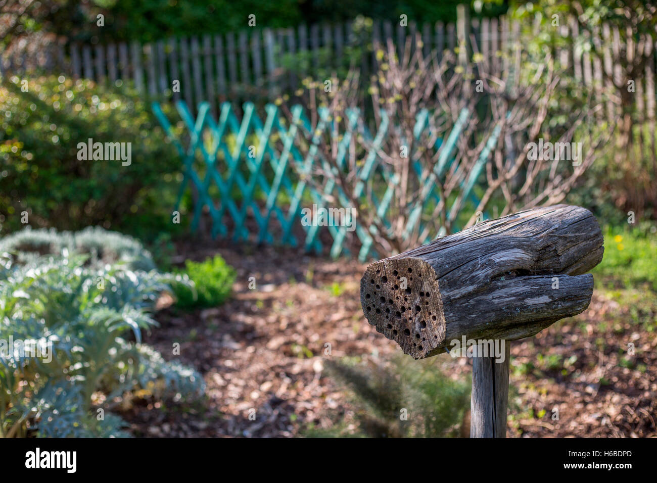 Insect hotel created from a sawn wooden log, Provence, France Stock ...