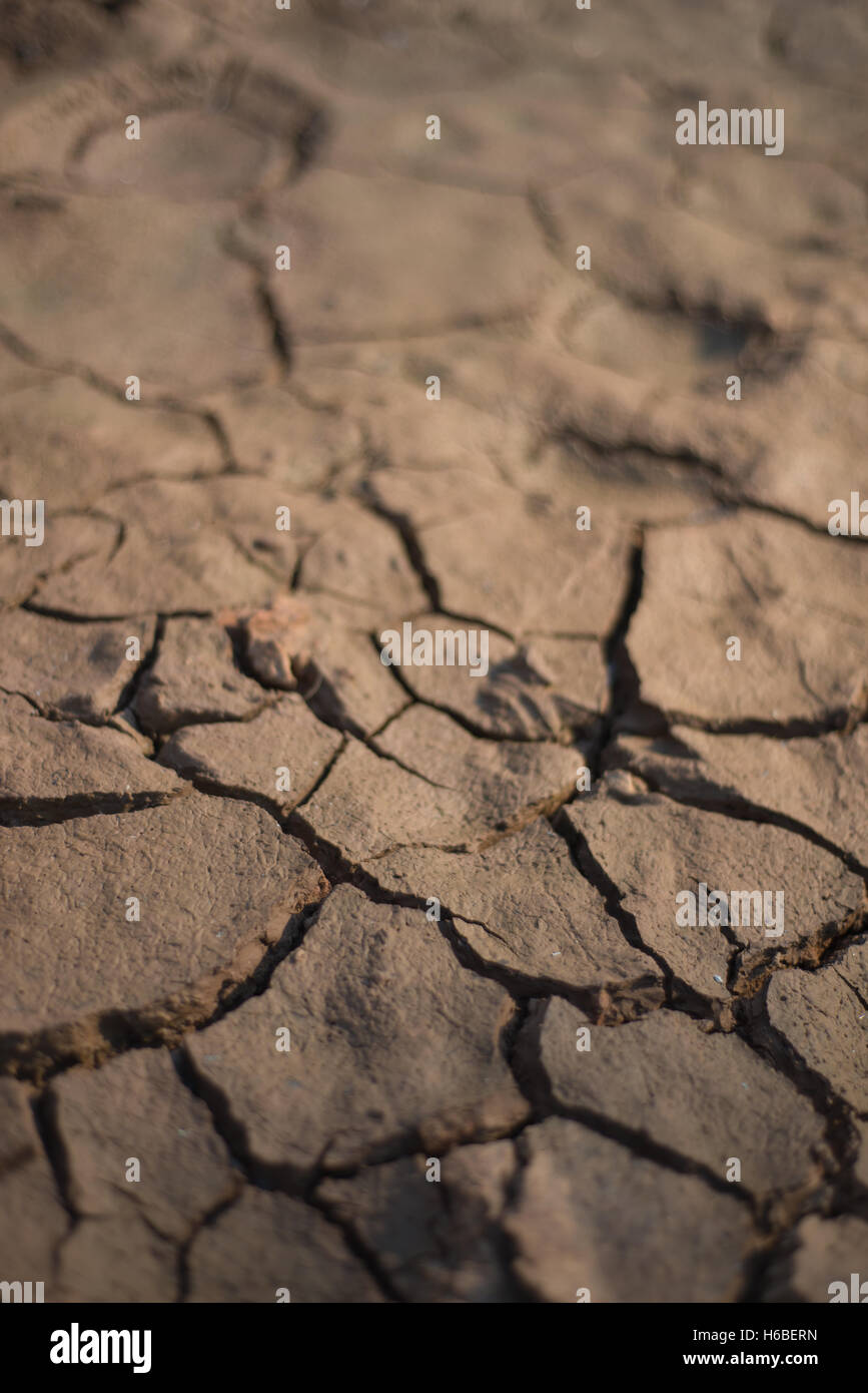 Drought mud puddle hi-res stock photography and images - Alamy