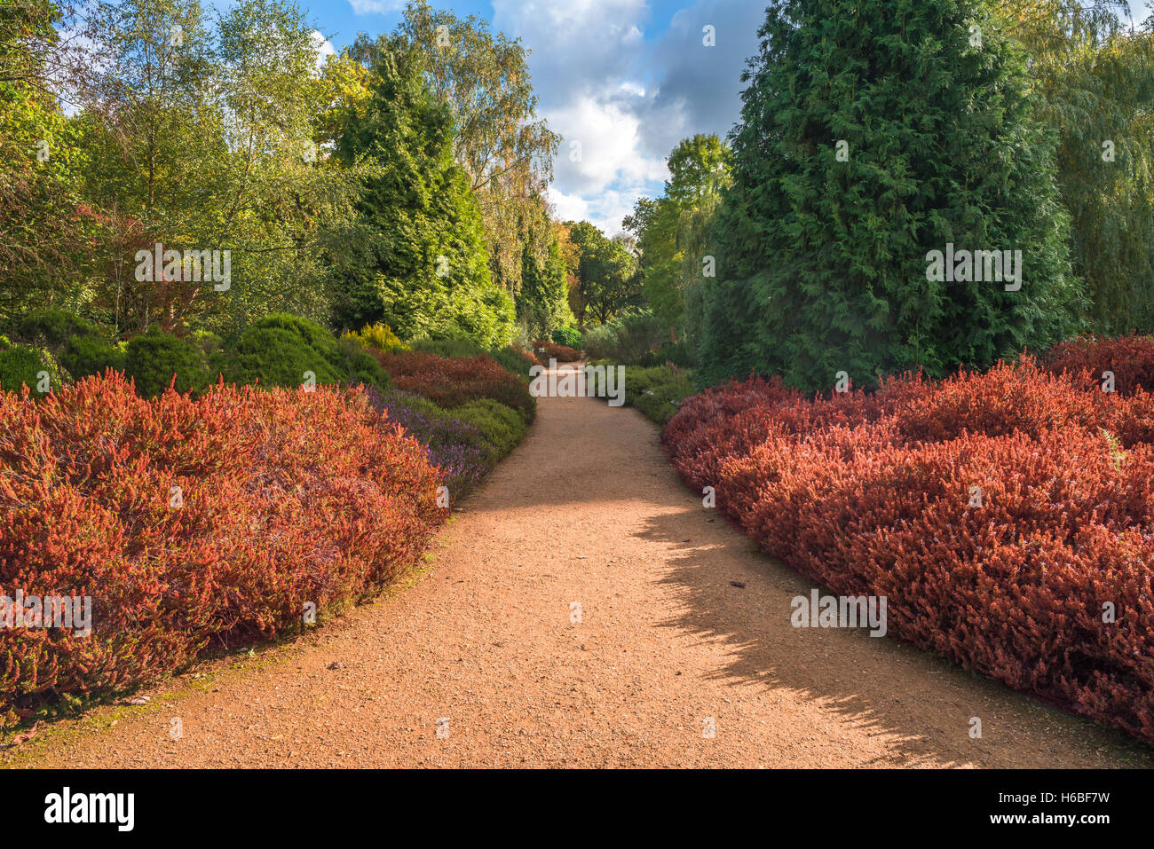London fall colors hi-res stock photography and images - Alamy