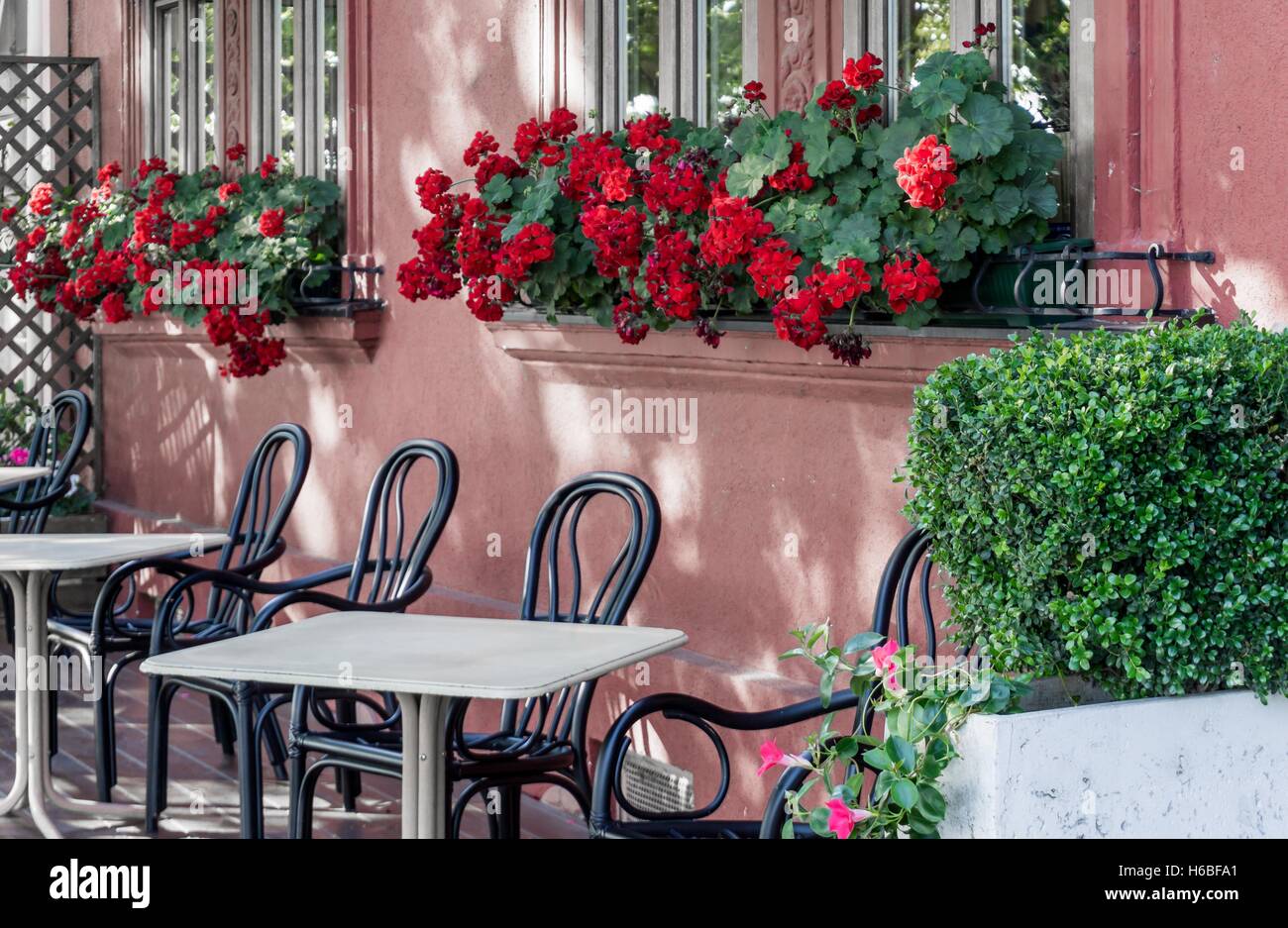 Flower decoration on windows Stock Photo - Alamy