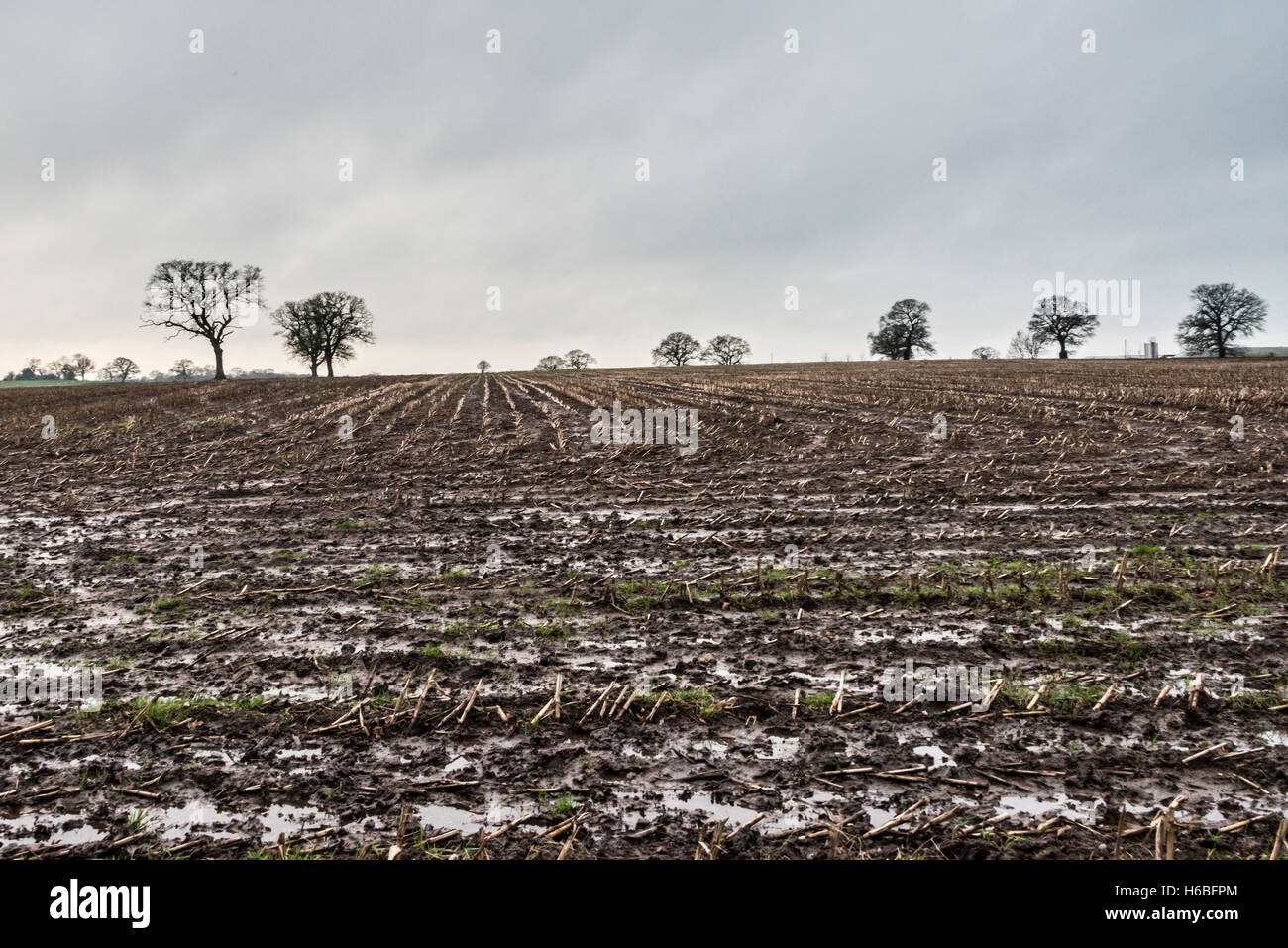 Farmland in winter Stock Photo - Alamy