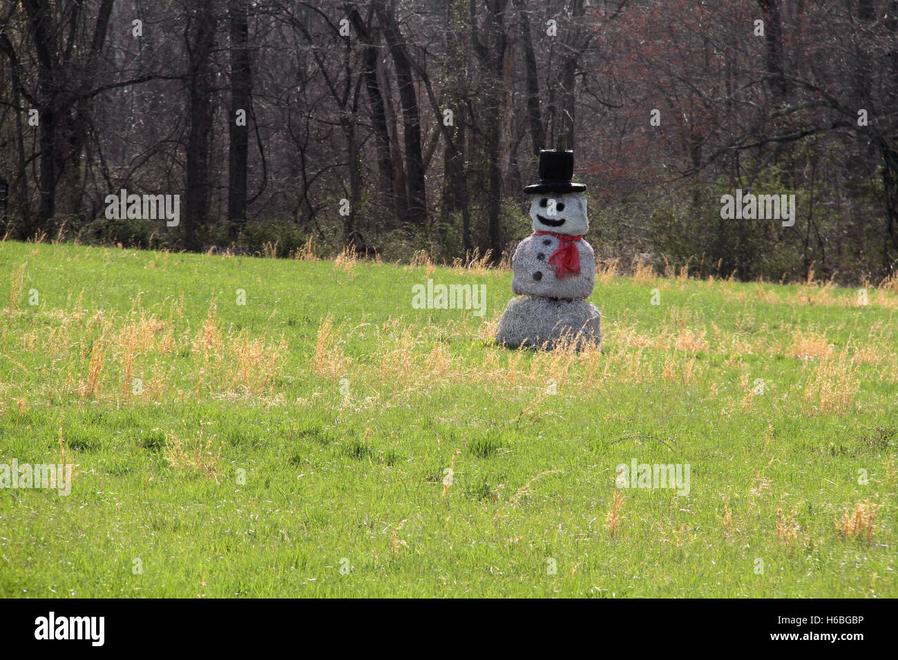 Snowman in green field Stock Photo - Alamy