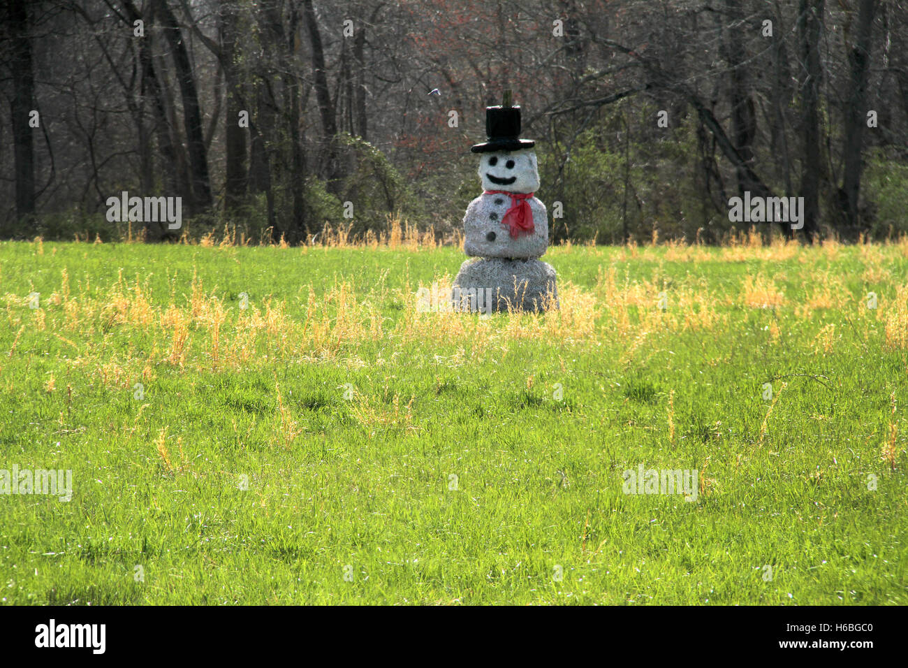 Snowman in green field Stock Photo - Alamy