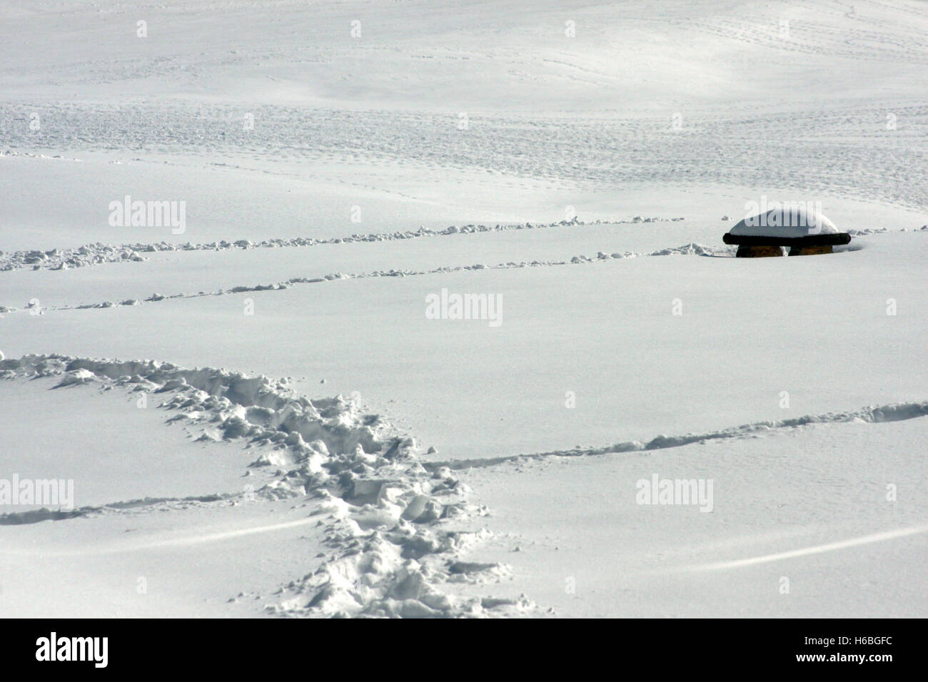 Footprints on fresh snow Stock Photo - Alamy