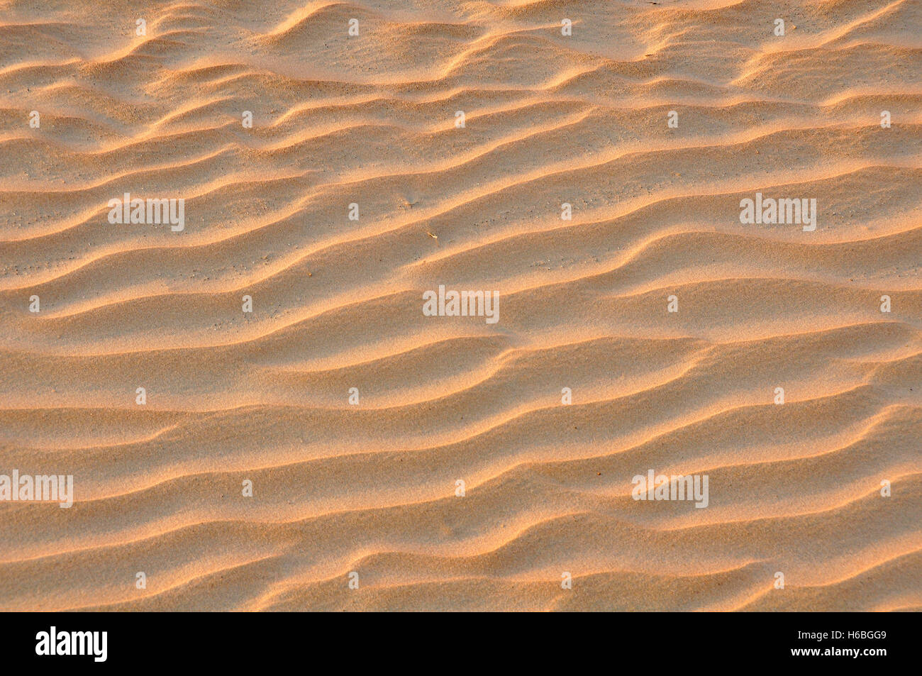 Liwa sand ripples Stock Photo - Alamy