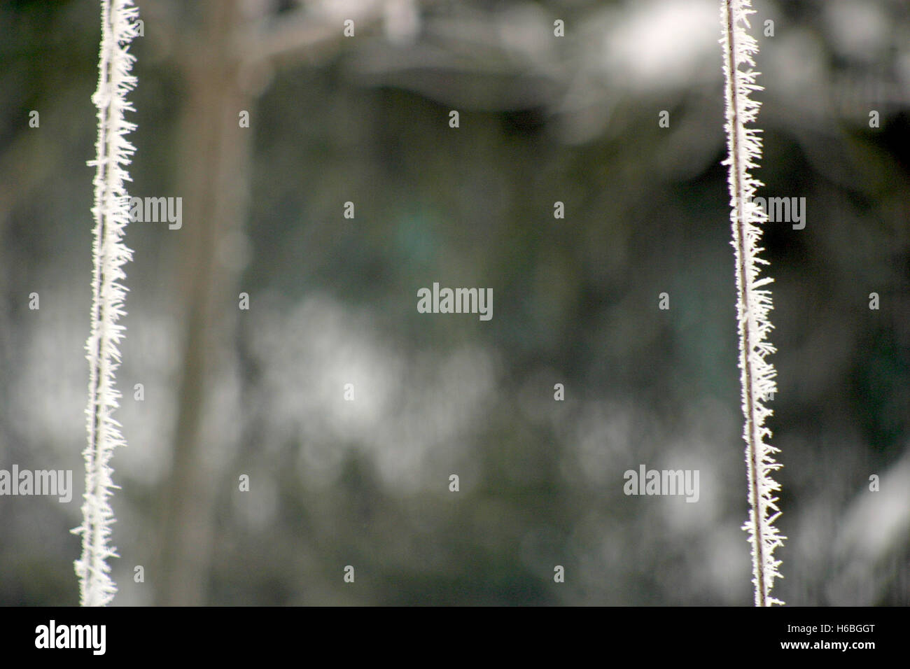 Frost on hanging ropes in winter morning Stock Photo - Alamy