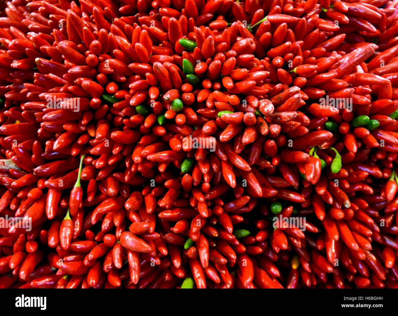 Hungarian red pepper Stock Photo - Alamy
