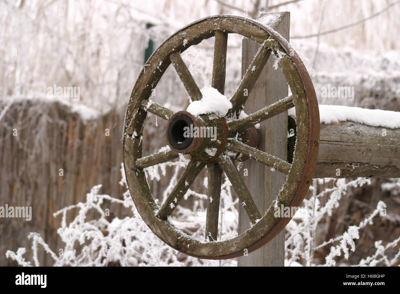 Solid wood wheel hi-res stock photography and images - Alamy