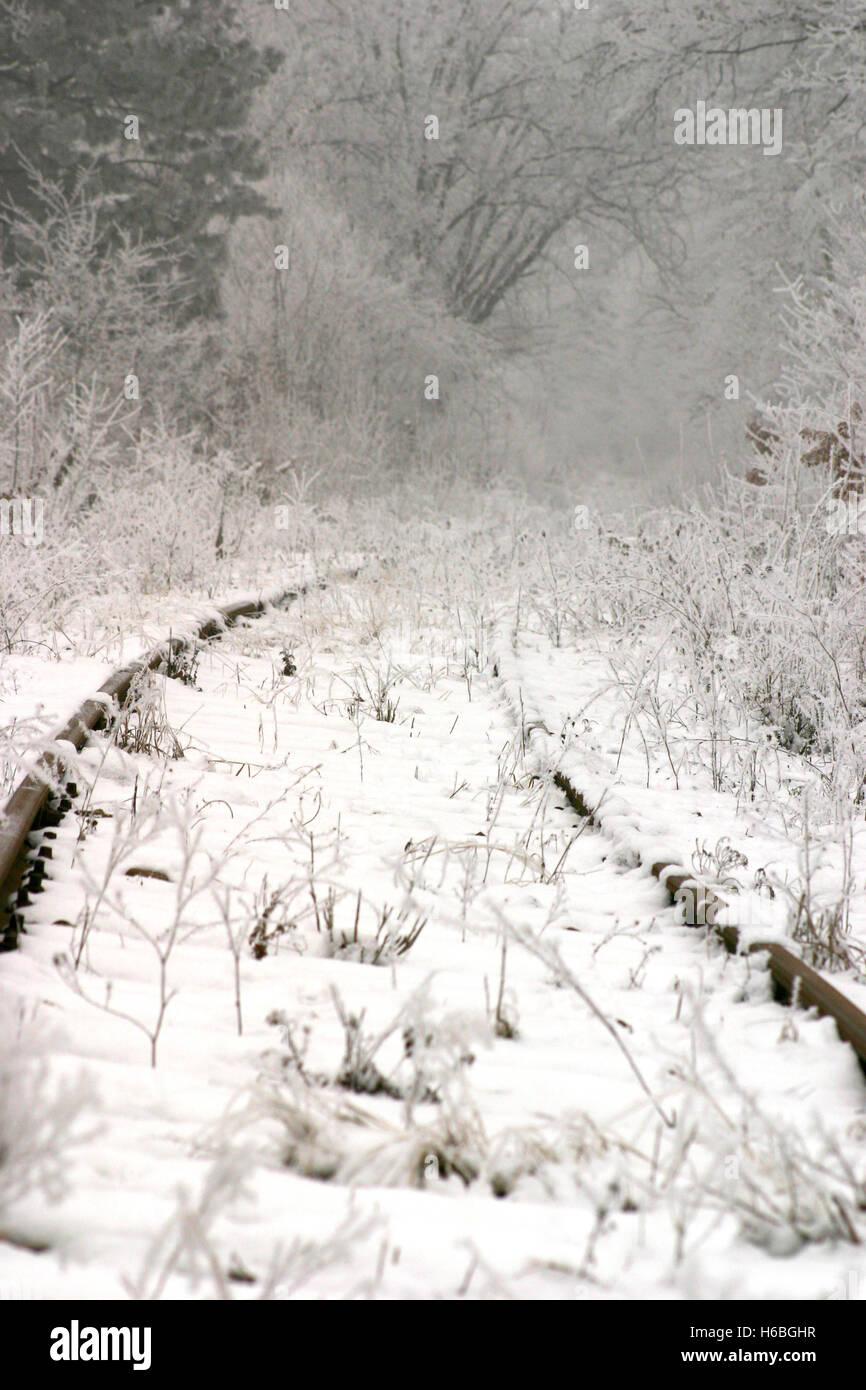 Railroad tracks and surrounding woods covered by snow Stock Photo - Alamy
