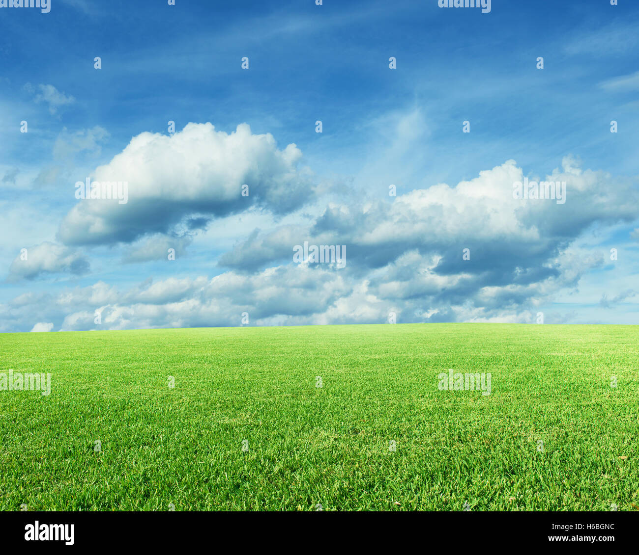 Spring lawn landscape Stock Photo - Alamy