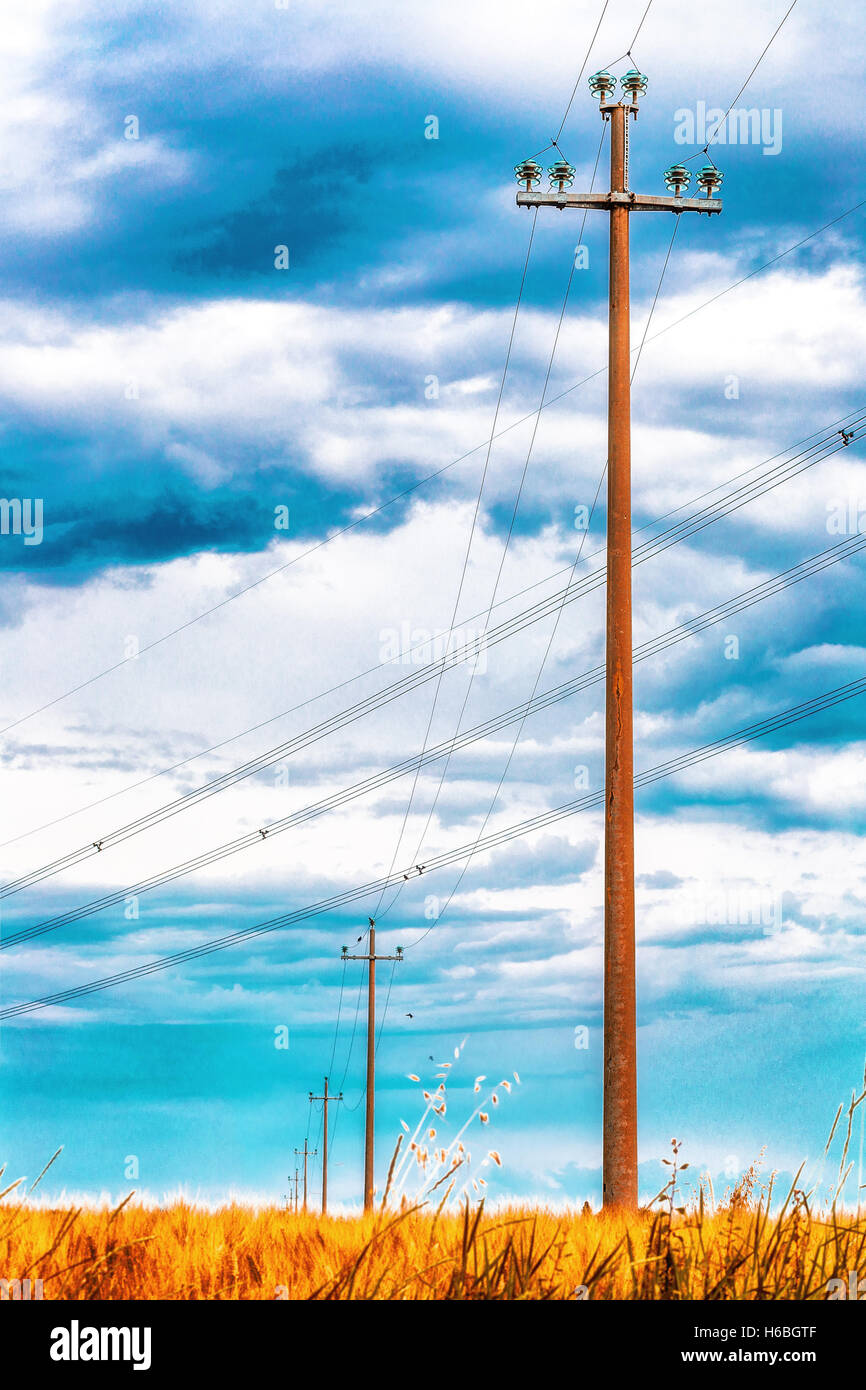 poles for the distribution of electricity Stock Photo - Alamy