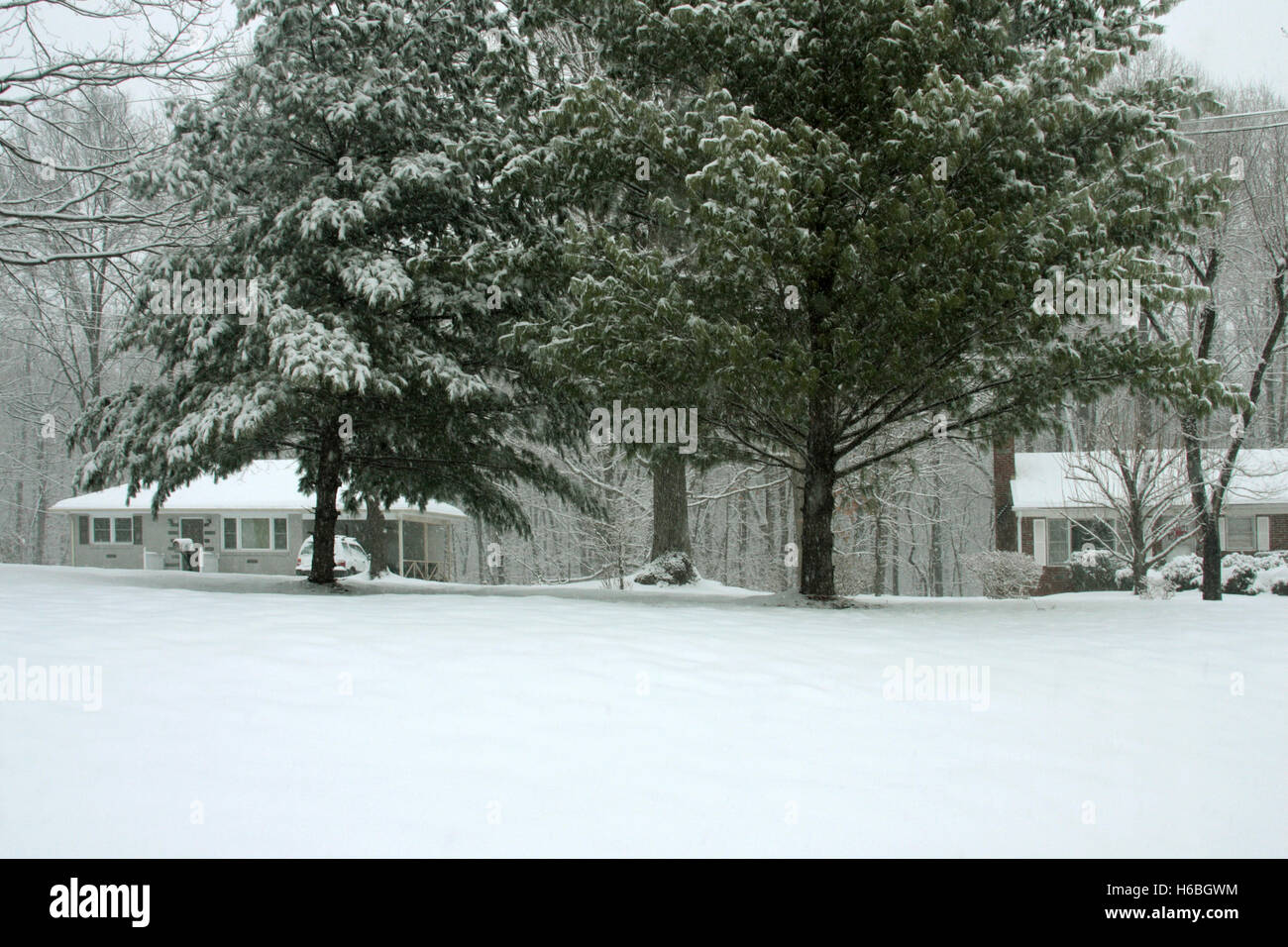 Houses and trees after snow storm Stock Photo - Alamy
