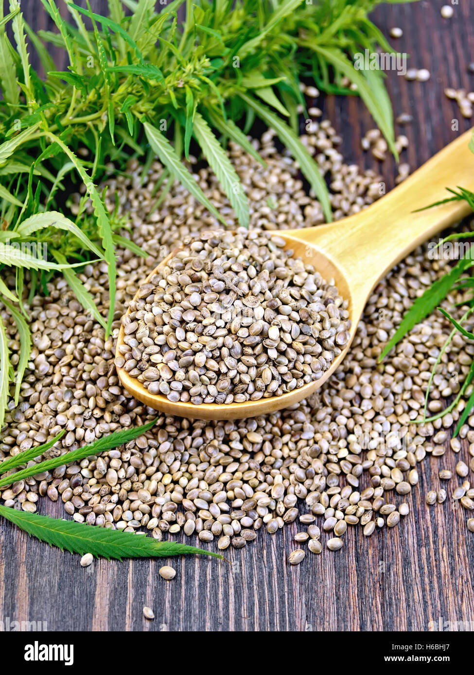Grain hemp hi-res stock photography and images - Alamy