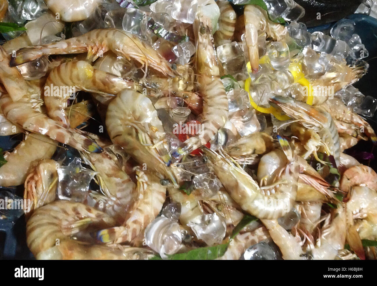 Market thailand tiger hi-res stock photography and images - Alamy